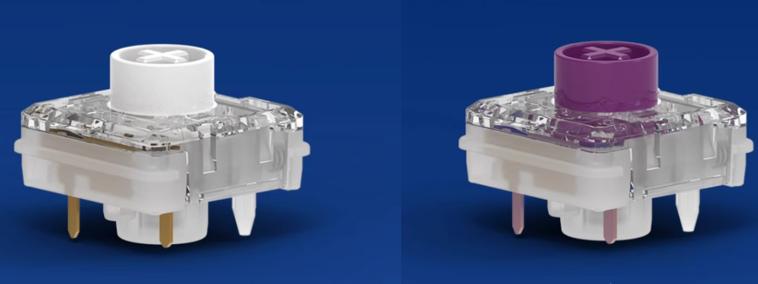 Introduction of TTC Mini Low Profile Mechanical Switches – IPOPULARSHOP