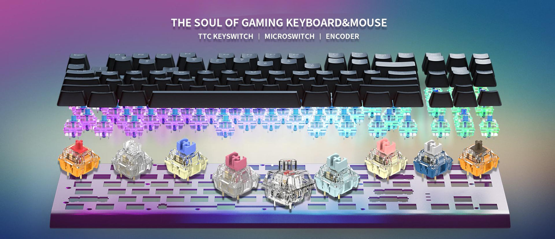 TTC Mechanical Keyboard Switches – IPOPULARSHOP