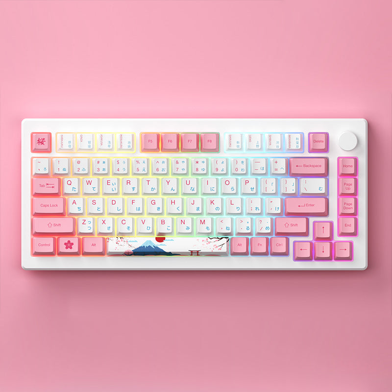 Pre-Order Akko MOD007B-HE PC Magnetic Switch Mechanical Keyboard ...