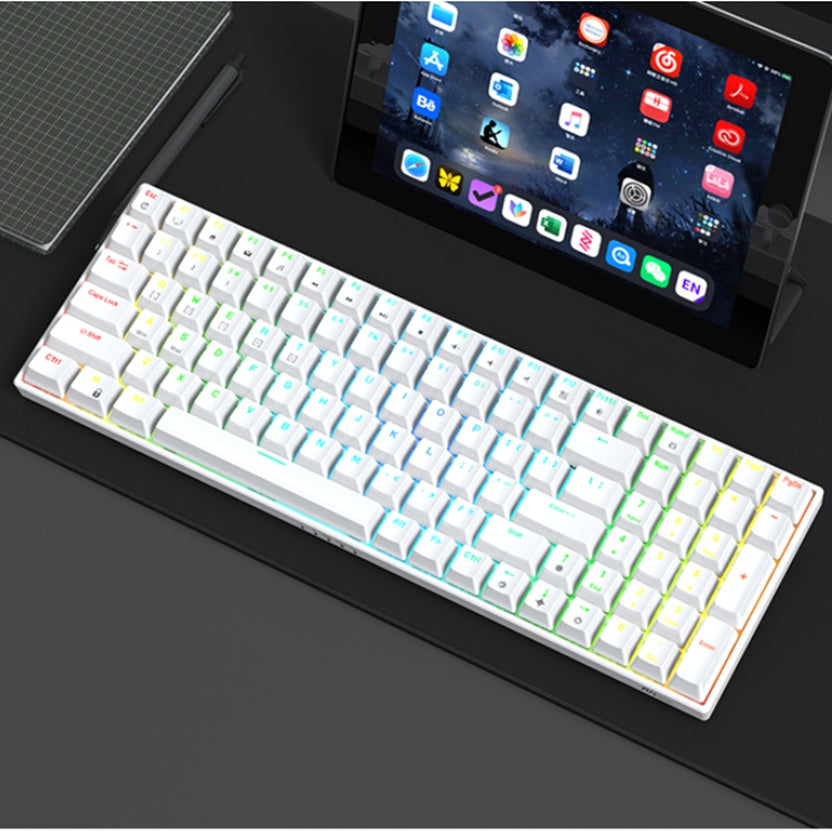 Royal Kludge RK860 RGB/White Light TTC Switch Mechanical Keyboard ...