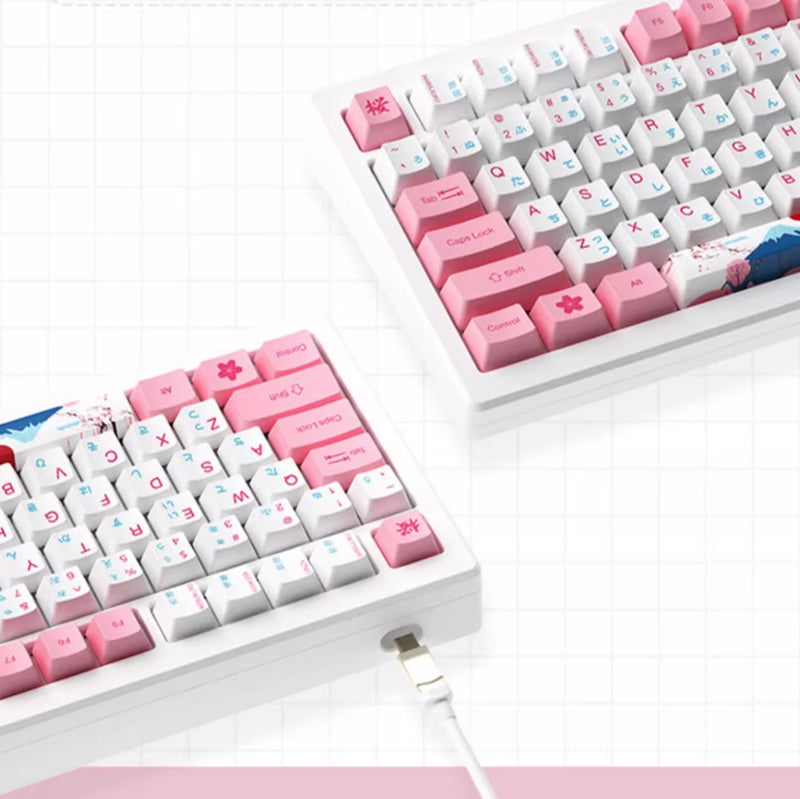 Pre-Order Akko MOD007B-HE PC Magnetic Switch Mechanical Keyboard ...